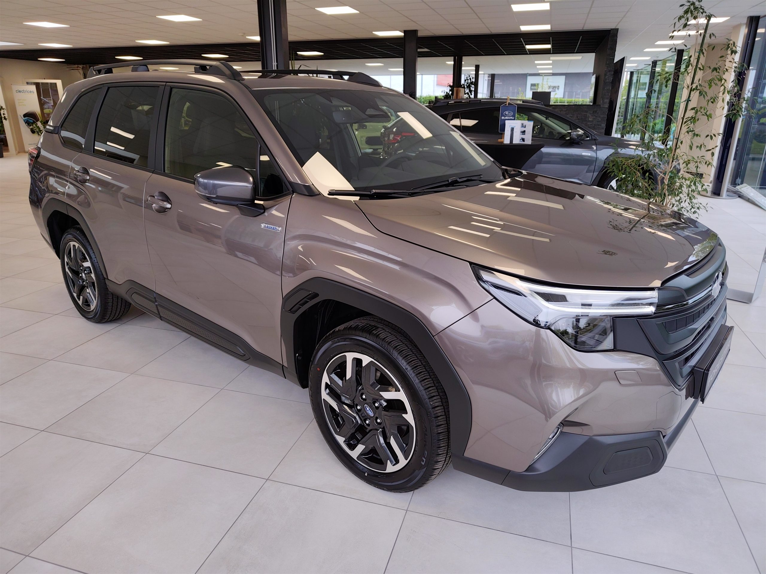 Subaru Forester 2026 Luxury Brilliant Bronze